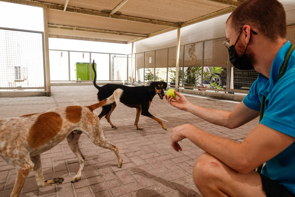 K9 Friends Launches New Membership Program in Dubai - The Hollywood People